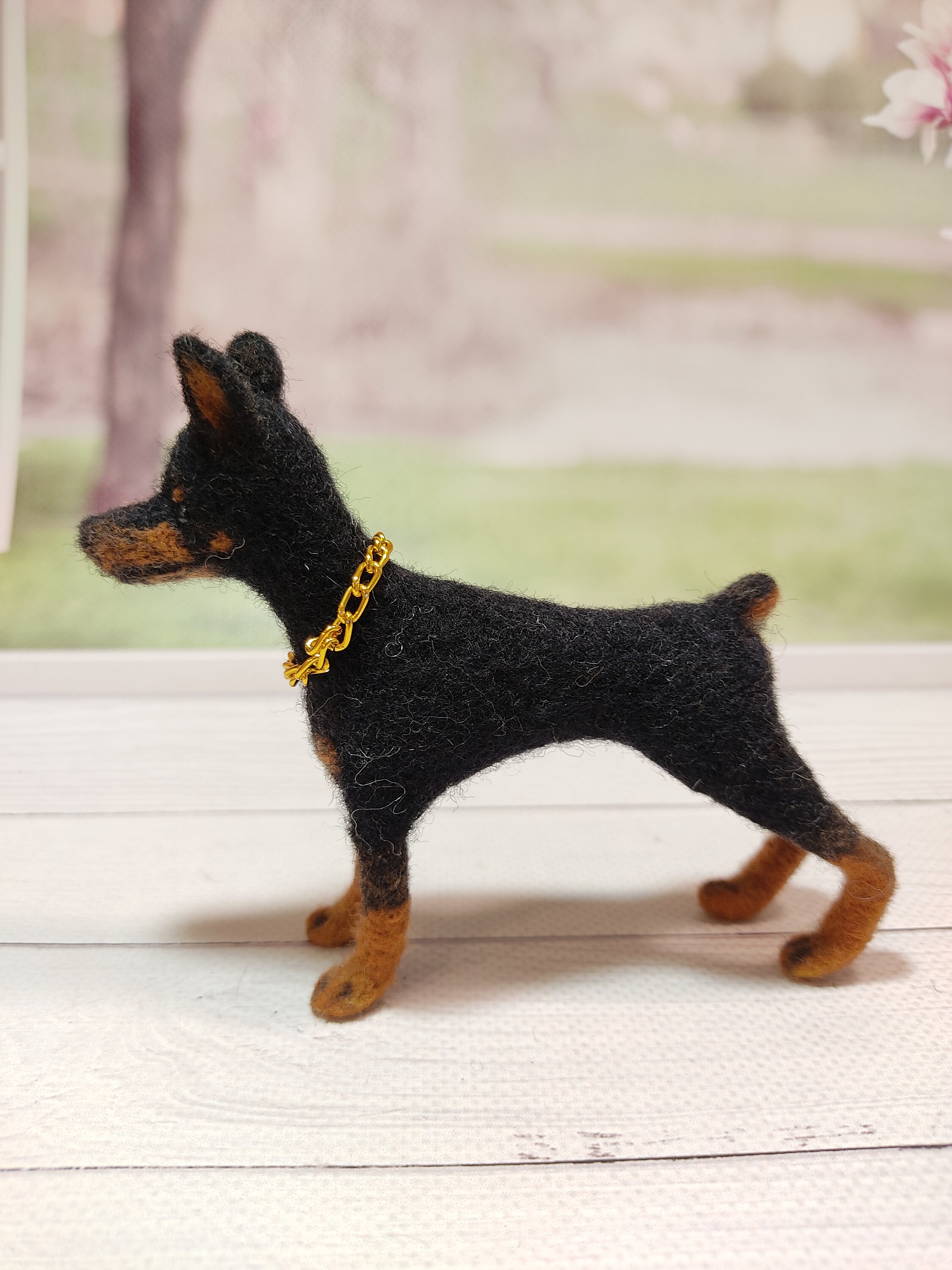Teacup Doberman Full Grown