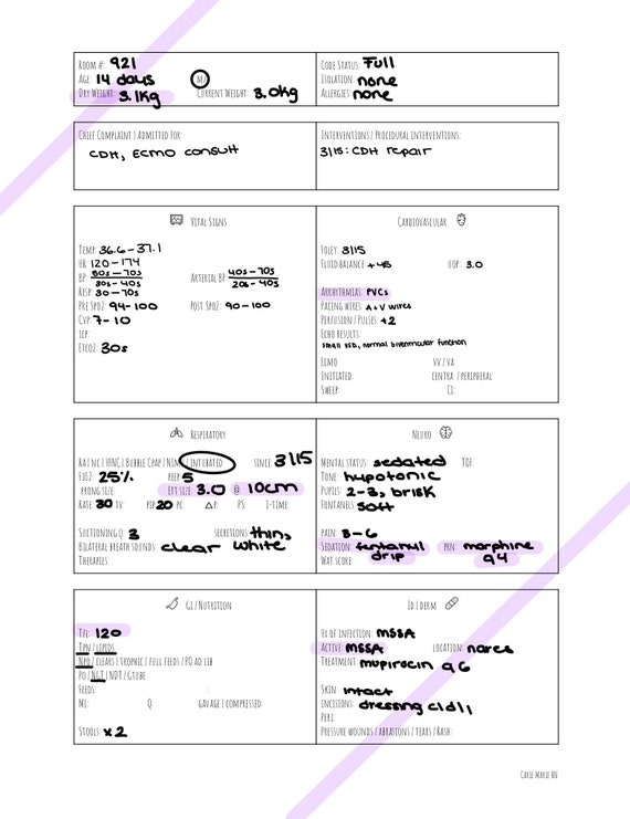 Pediatric Nurse Report Shift Sheet | Etsy