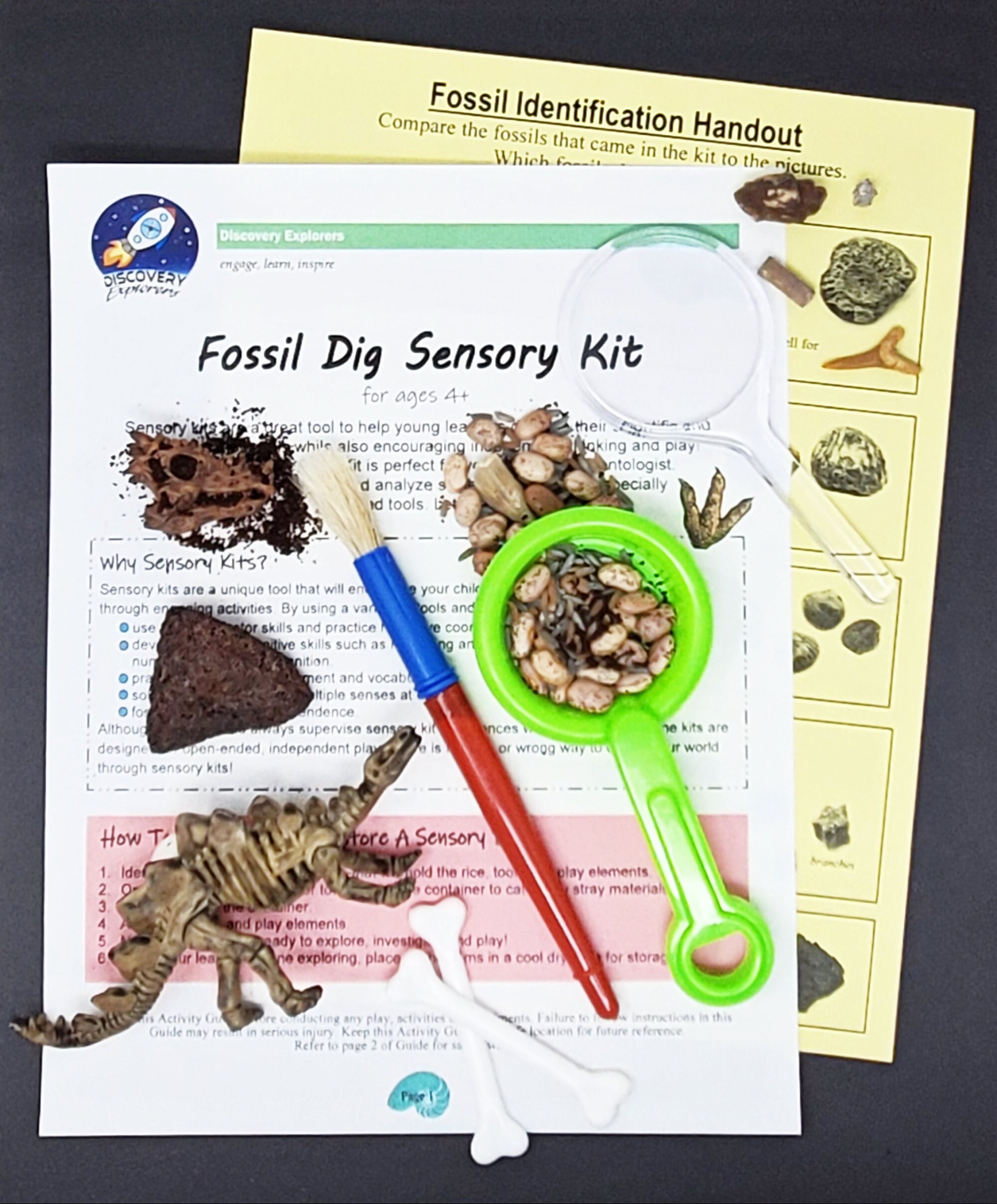 Fossil Excavation Dinosaur Dig Sensory Playset Kit for Preschool - Etsy