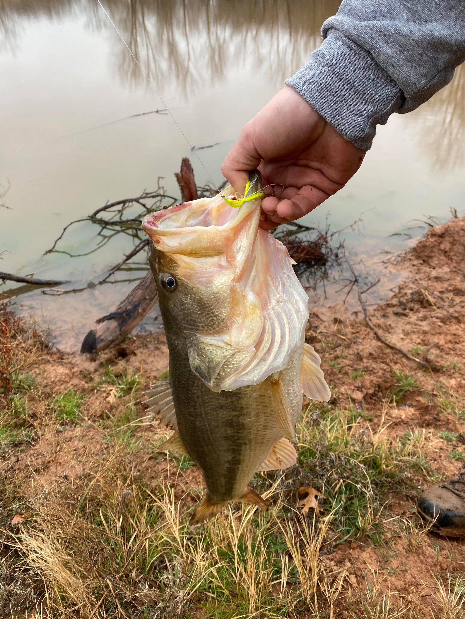 Handmade Clouser Minnows Chartreuse & White 6 Pk - Etsy