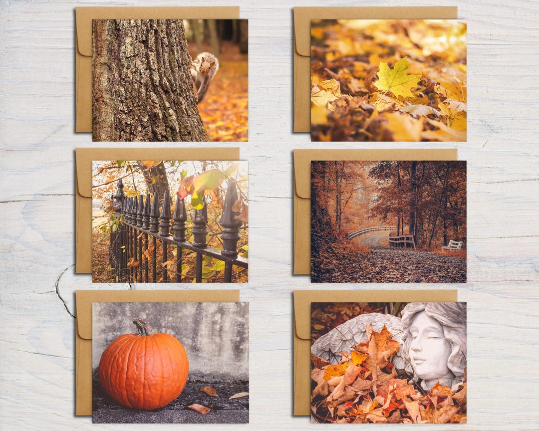 Autumn Scenes Note Card Set Fall Foliage Photography Halloween Blank ...