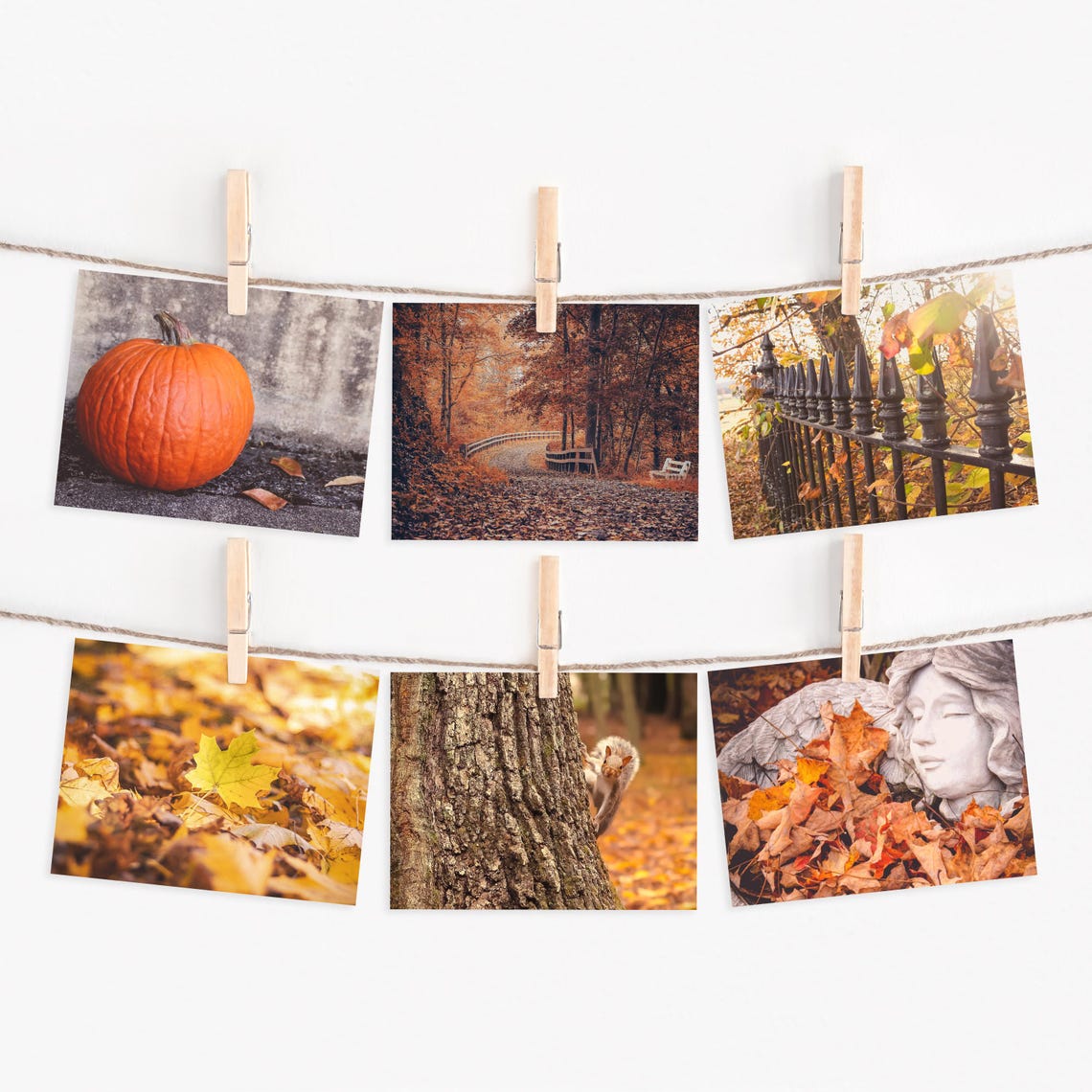 Autumn Scenes Note Card Set | Fall Foliage Photography | Halloween ...