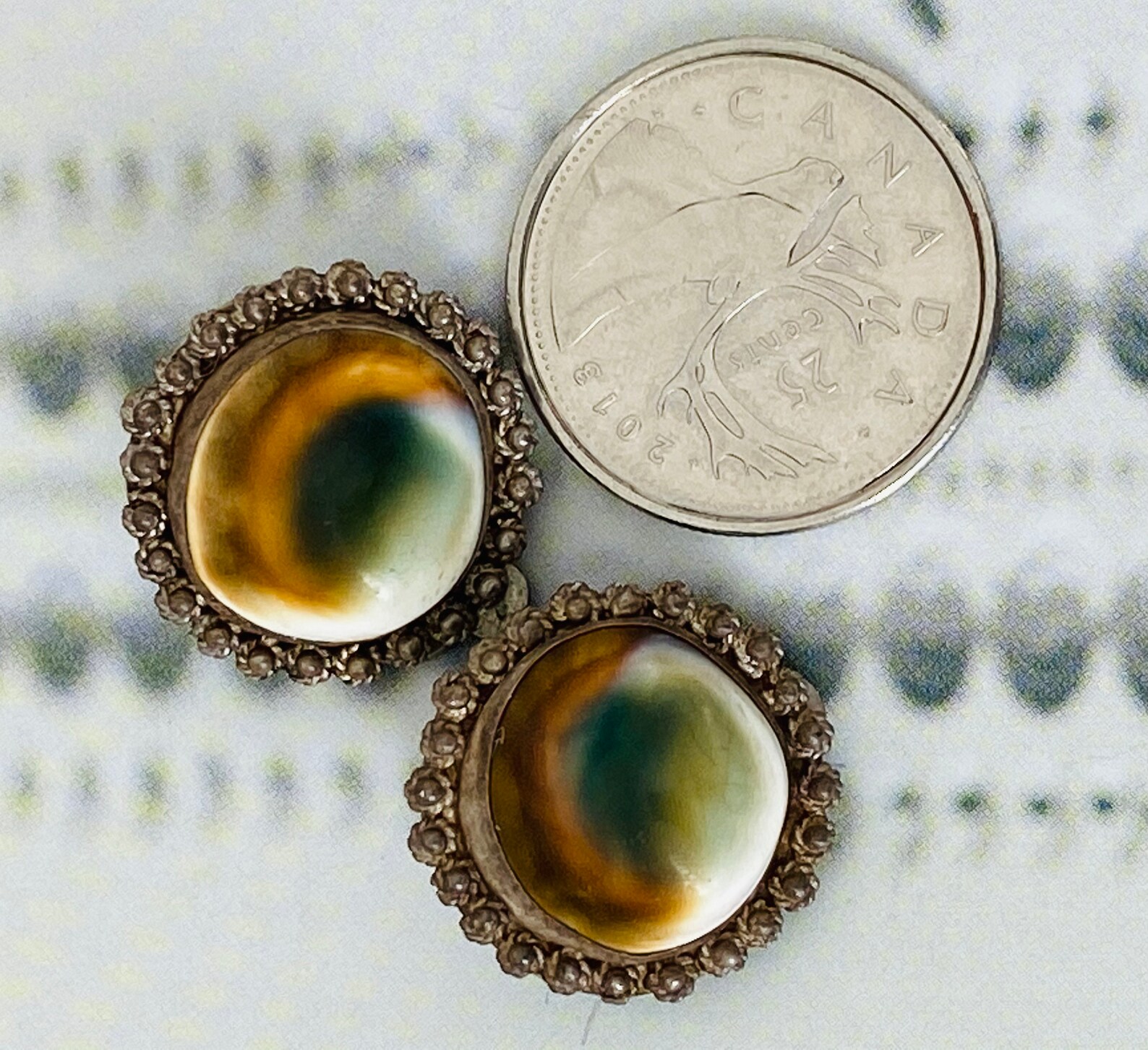 Vintage Sterling Silver Operculum Shell Clip on Earrings - Etsy