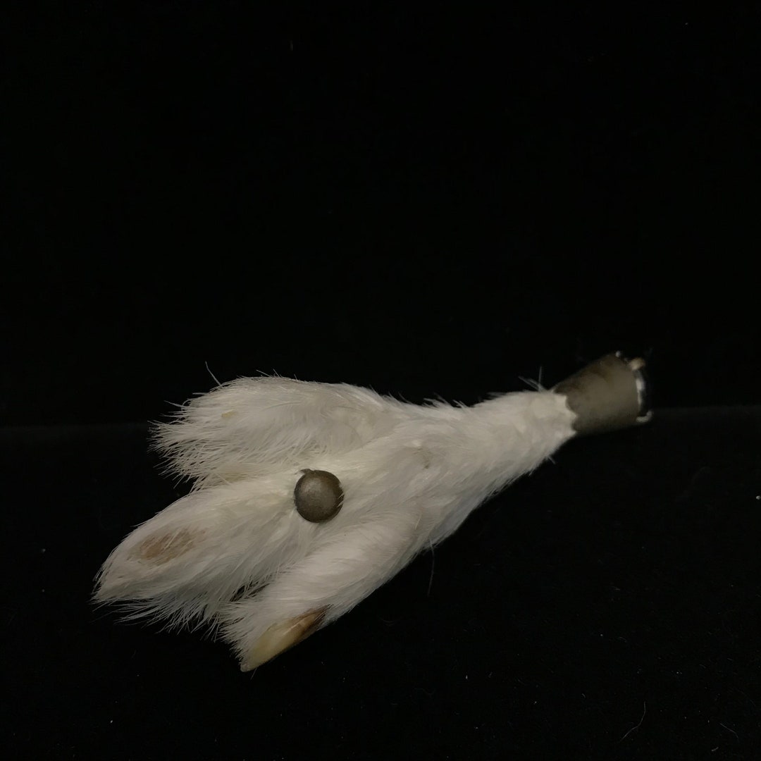 Antique Grouse Foot Brooch//bird Claw Hunting Trophy Brooch//vintage ...