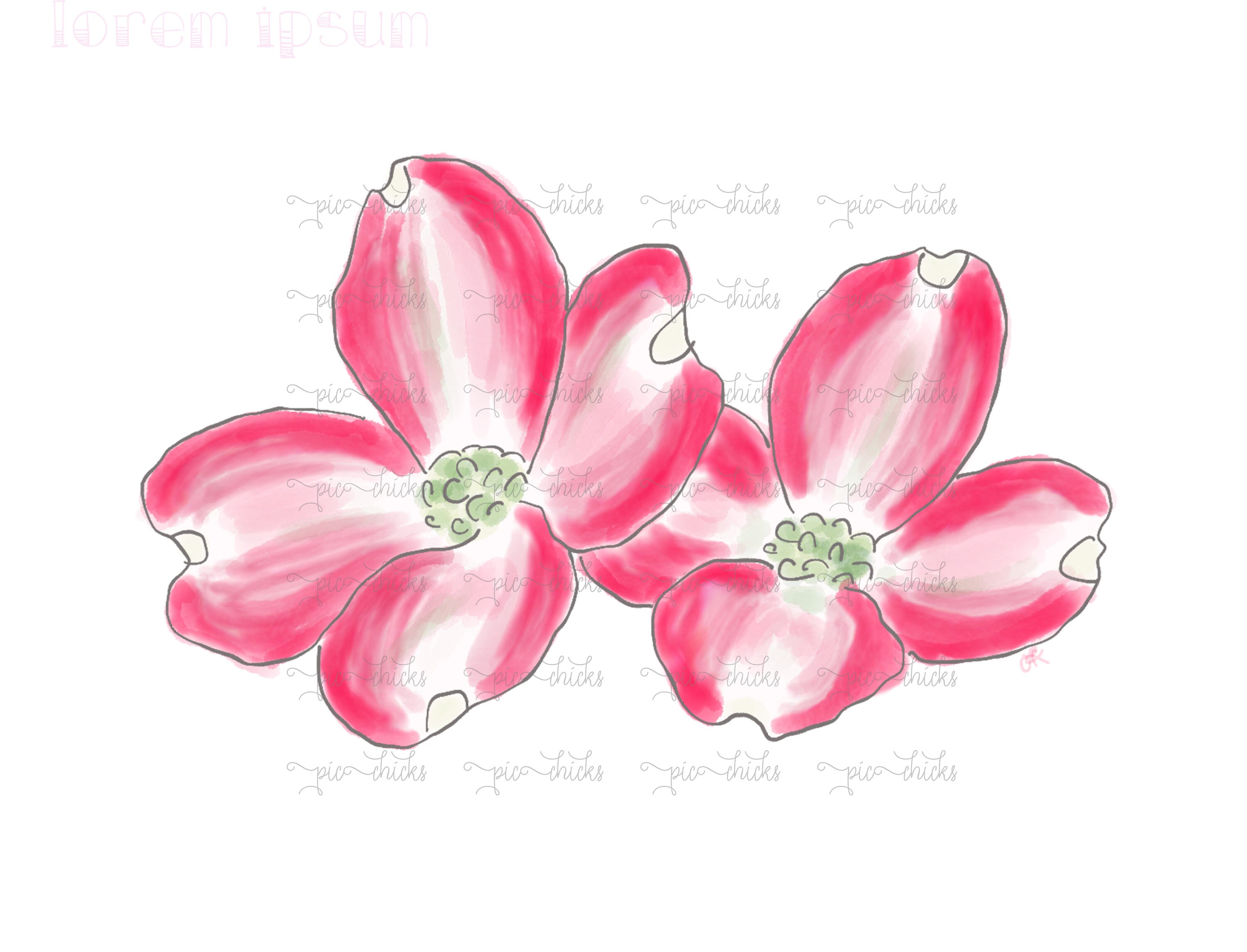 Watercolor Dogwood Flower PNG Sublimation Graphics Instant - Etsy