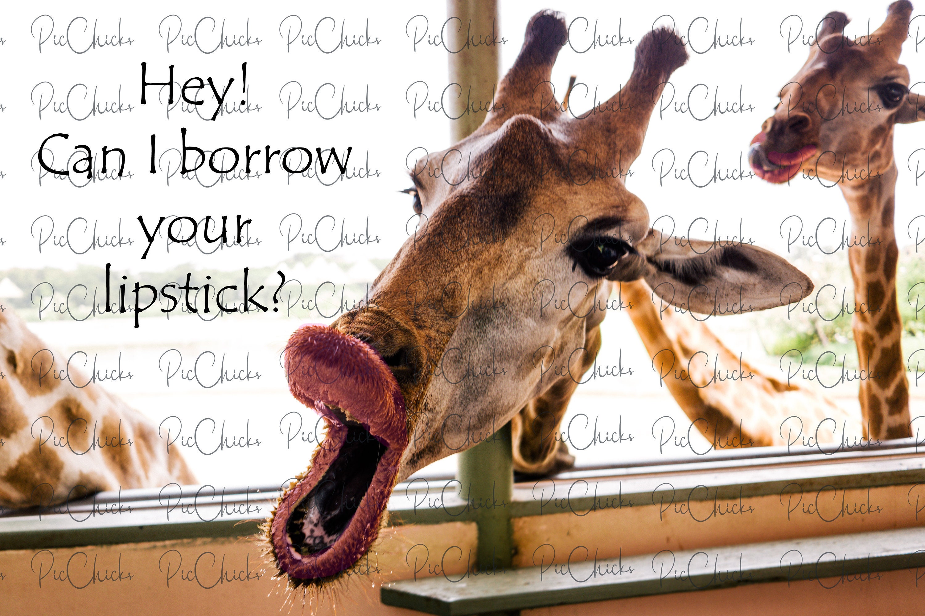 Funny Drunk Giraffe Meme