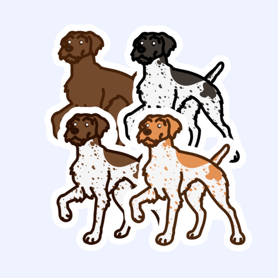 German Wirehaired Pointer Pudelpointer Wirehaired Pointing Griffon Vinyl Sticker Waterproof ...