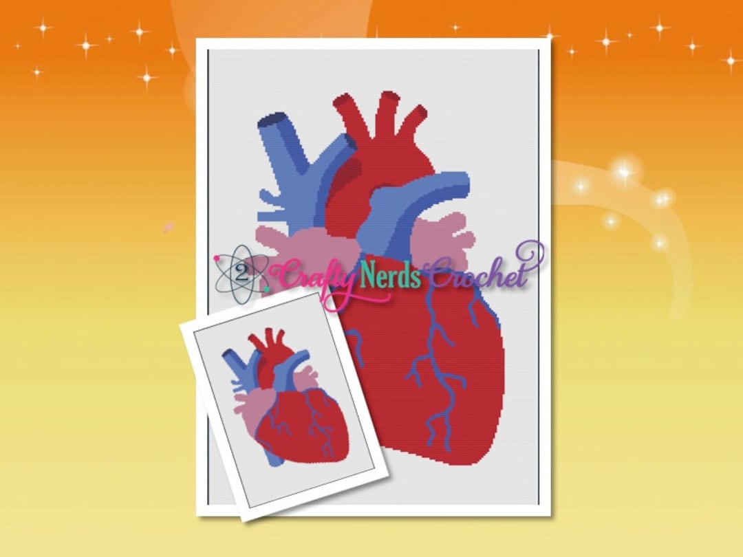 Anatomical Heart Pattern Graph With Single Crochet Written, Heart ...