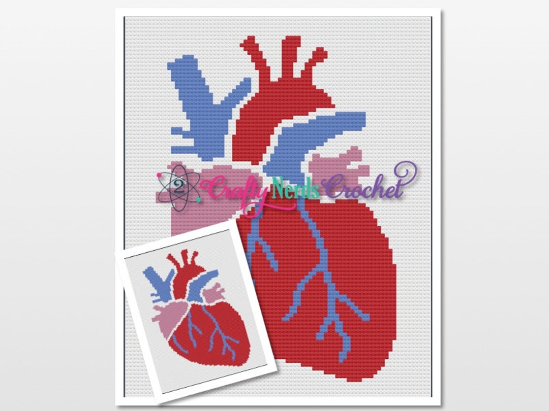 Anatomical Heart Pattern Graph With C2C or Mini C2C Written, Heart ...