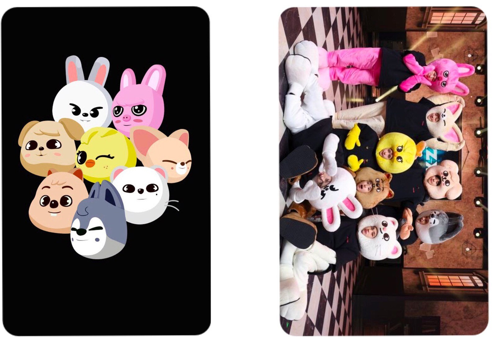 Stray Kids SKZOO photocards | Etsy