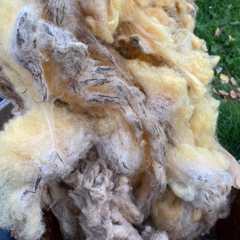 Raw Wool Unprocessed - Etsy