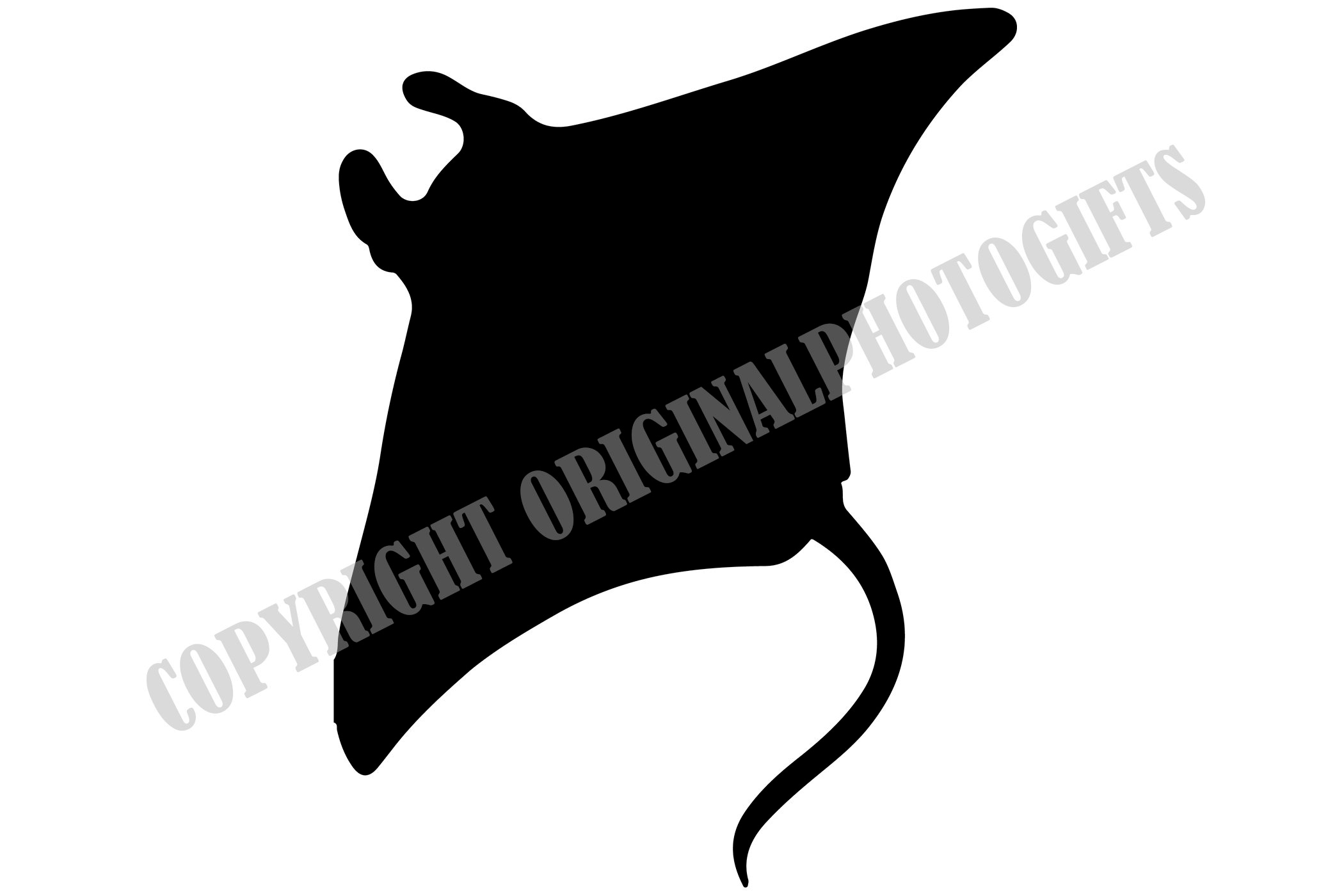 Stingray 2 Stingray Svg Stingray Silhouette Stingray png | Etsy