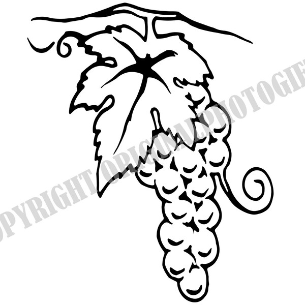 Bunch of Grapes Svg - Etsy