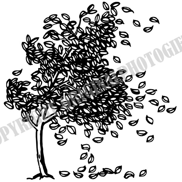 Wind Blowing Leaves - Etsy