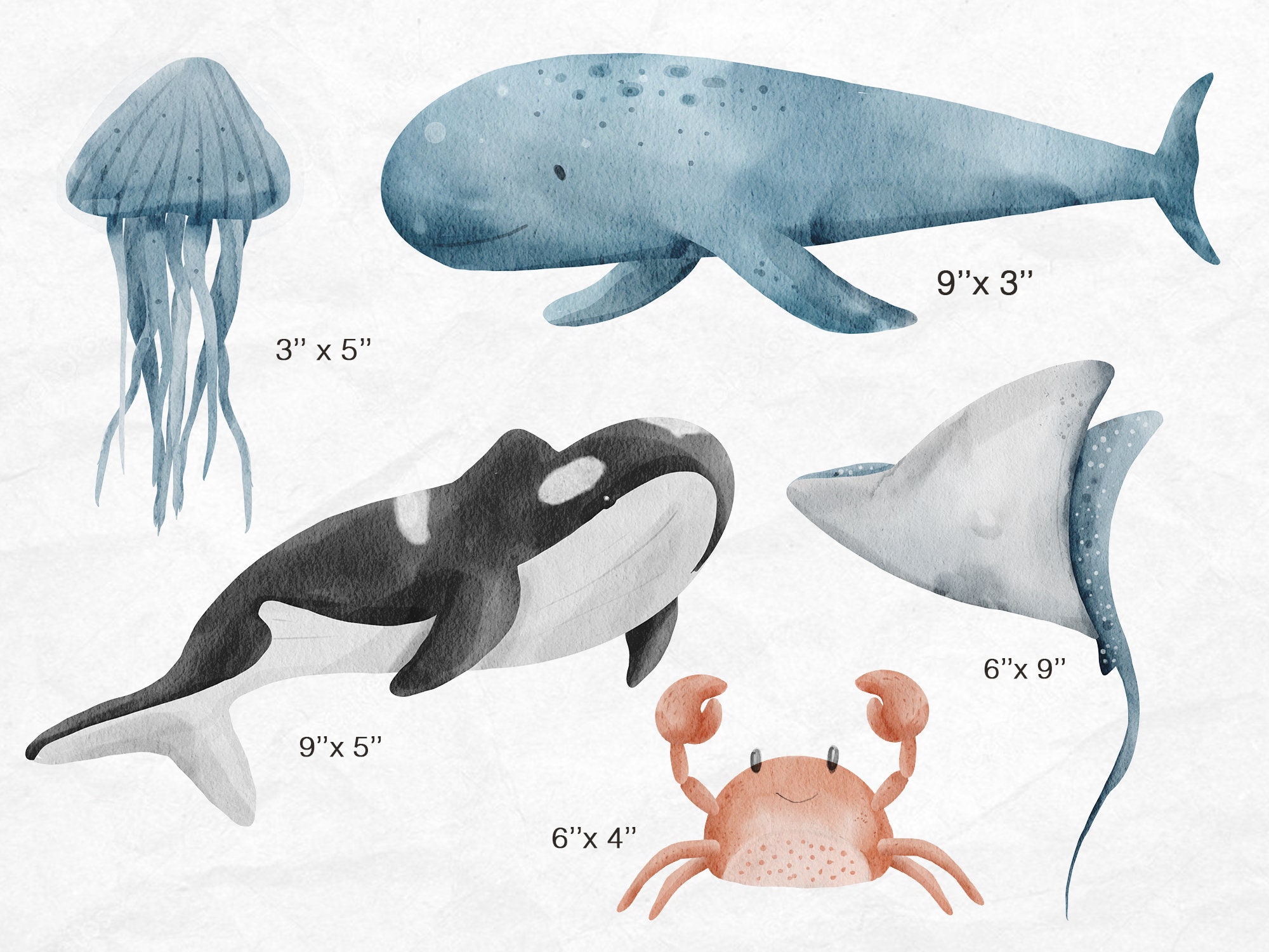 Under the Sea Watercolor Clipart - Baby Sea Pictures for Boys and Girls ...