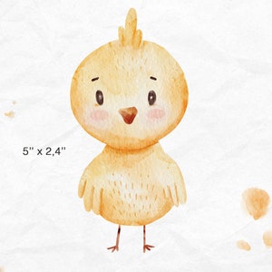 Baby Chicken Watercolor Clipart Bundle, Pngs, Digital Crafting, Farm ...