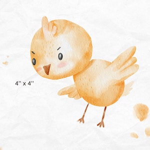 Baby Chicken Watercolor Clipart Bundle, Pngs, Digital Crafting, Farm ...