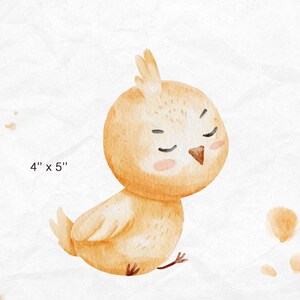 Baby Chicken Watercolor Clipart Bundle, Pngs, Digital Crafting, Farm ...