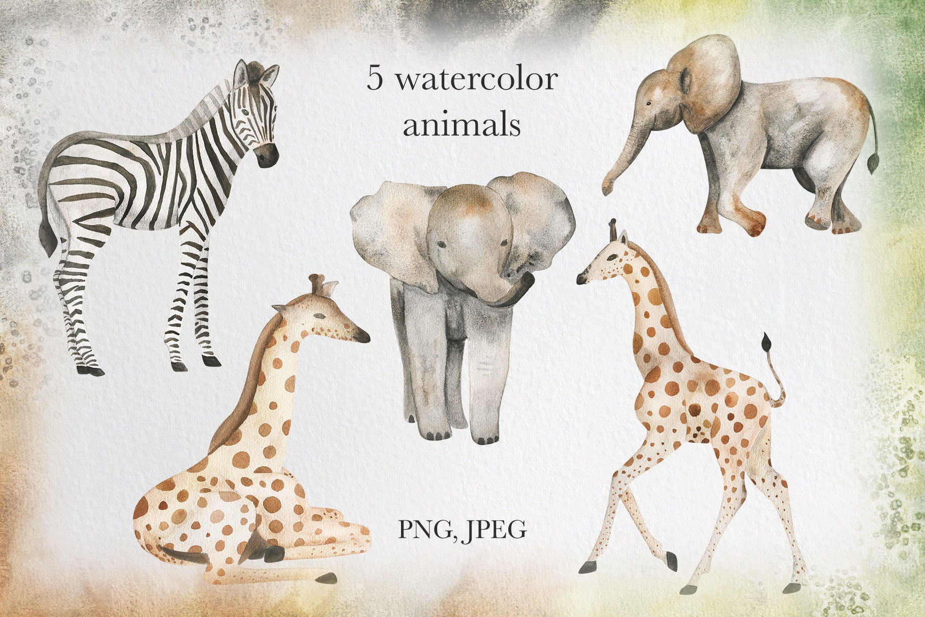 Safari Animals Watercolor Clipart: Jungle Baby Shower (digital Download ...