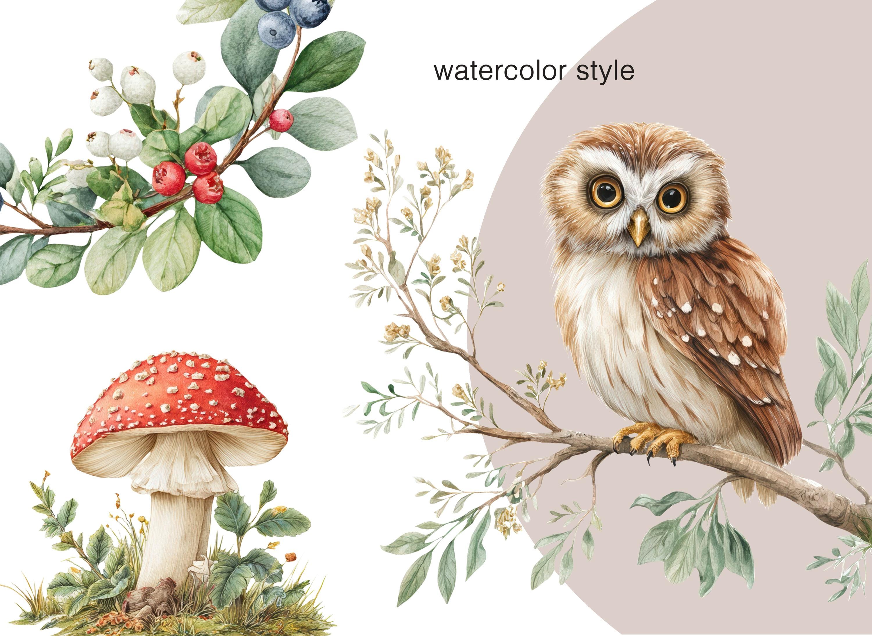 Watercolor Forest Animals Clipart - Cute Animals Clipart - PNG - Baby ...