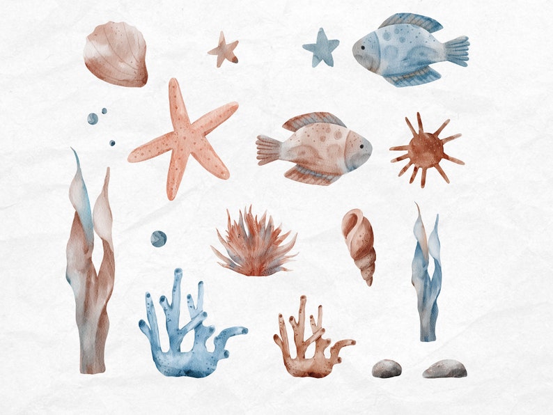 Under the Sea Watercolor Clipart - Baby Sea Pictures for Boys and Girls ...