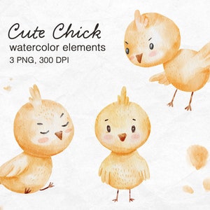 Baby Chicken Watercolor Clipart Bundle, Pngs, Digital Crafting, Farm ...