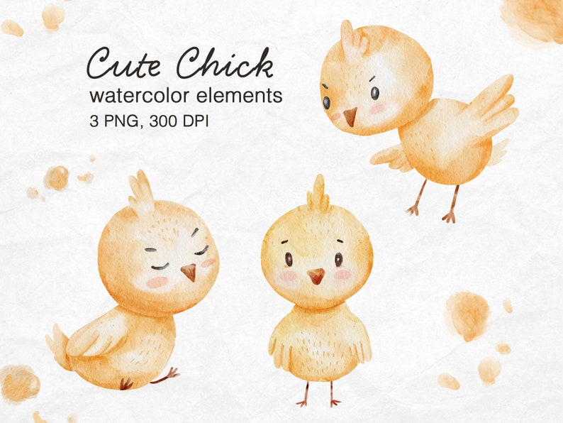 Baby Chicken Watercolor Clipart Bundle, Pngs, Digital Crafting, Farm ...