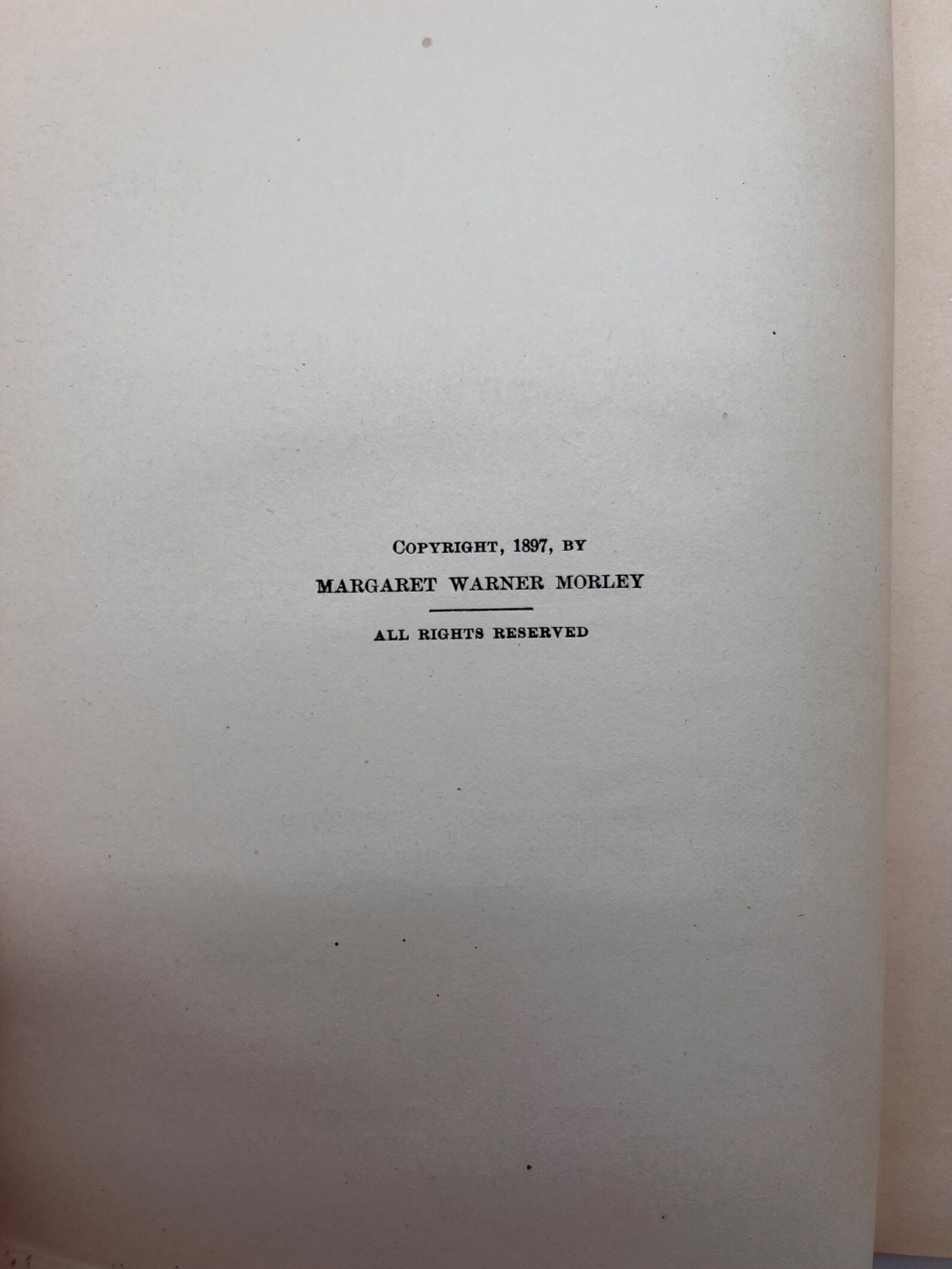 Antique A Few Familiar Flowers by Margaret W. Morley, 1903, Gilded ...