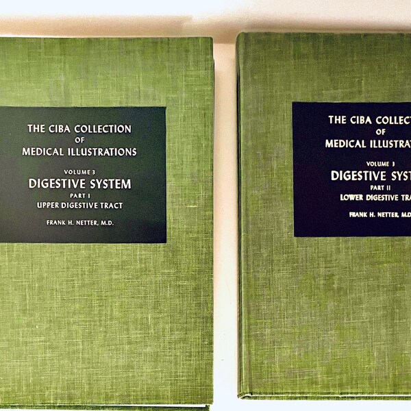 Upper Gi Digestive - Etsy