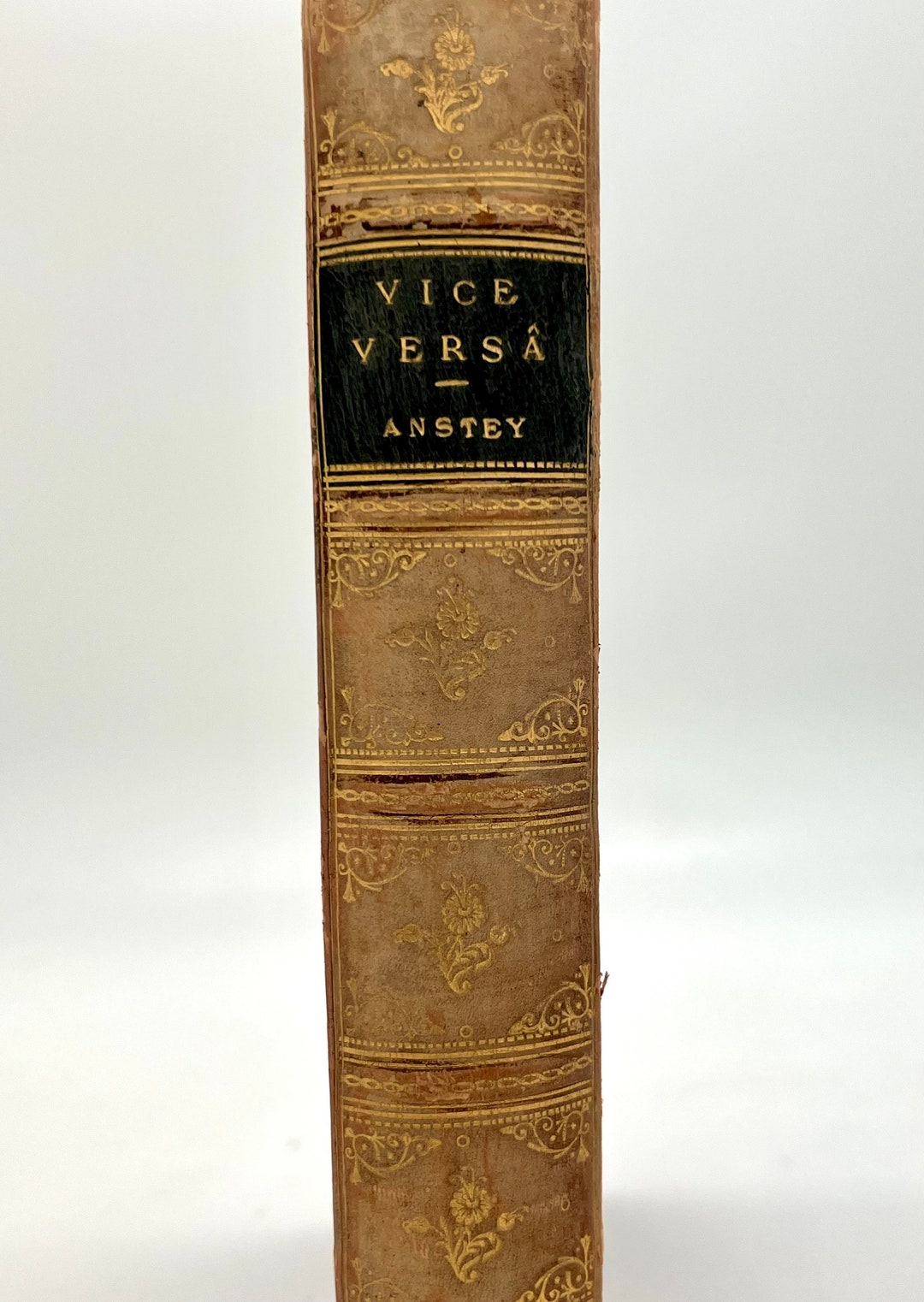 Antique Leather (1882) Vice Versa by F Antsey in Custom Leather Book ...