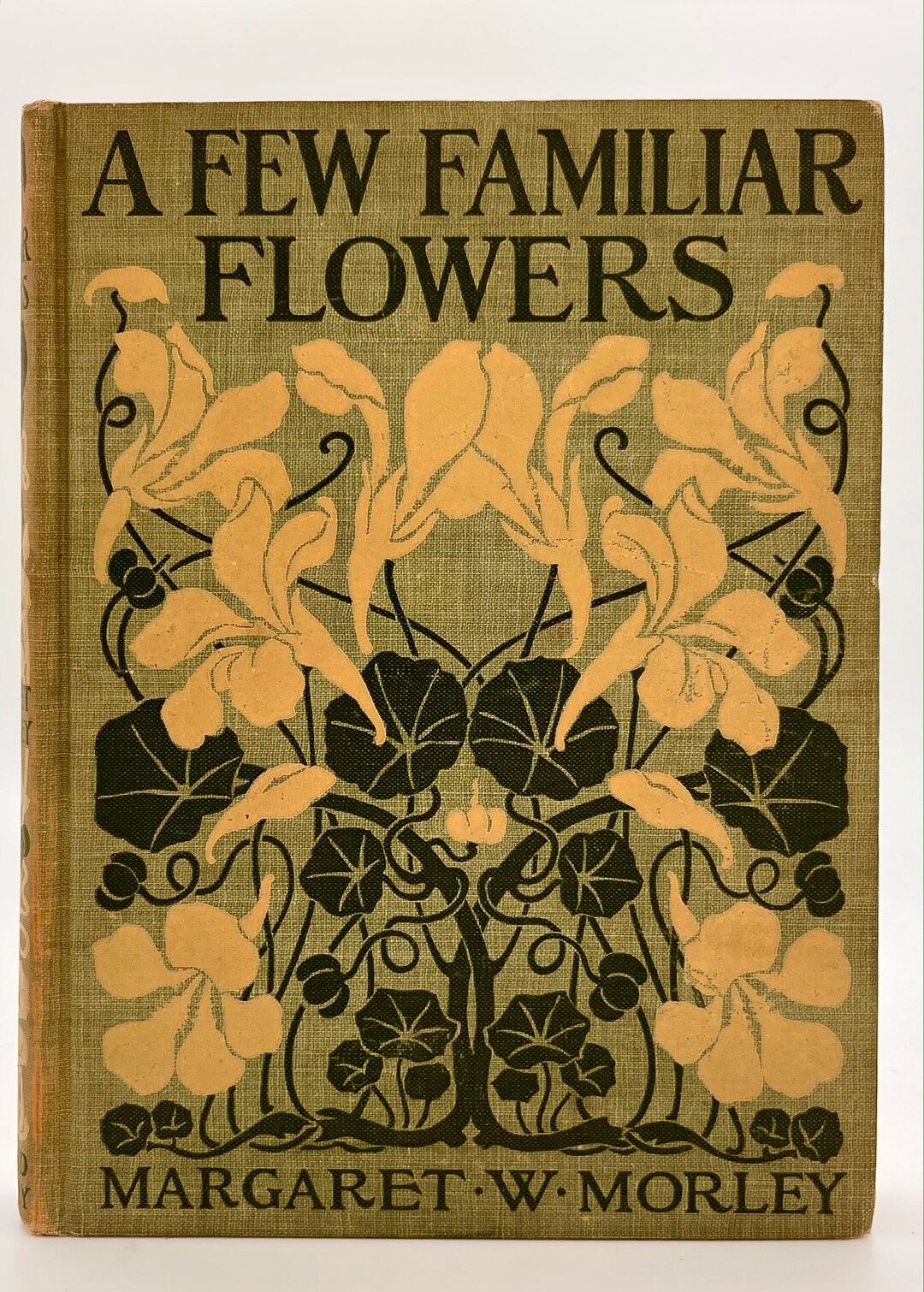 Antique A Few Familiar Flowers by Margaret W. Morley, 1903, Gilded ...