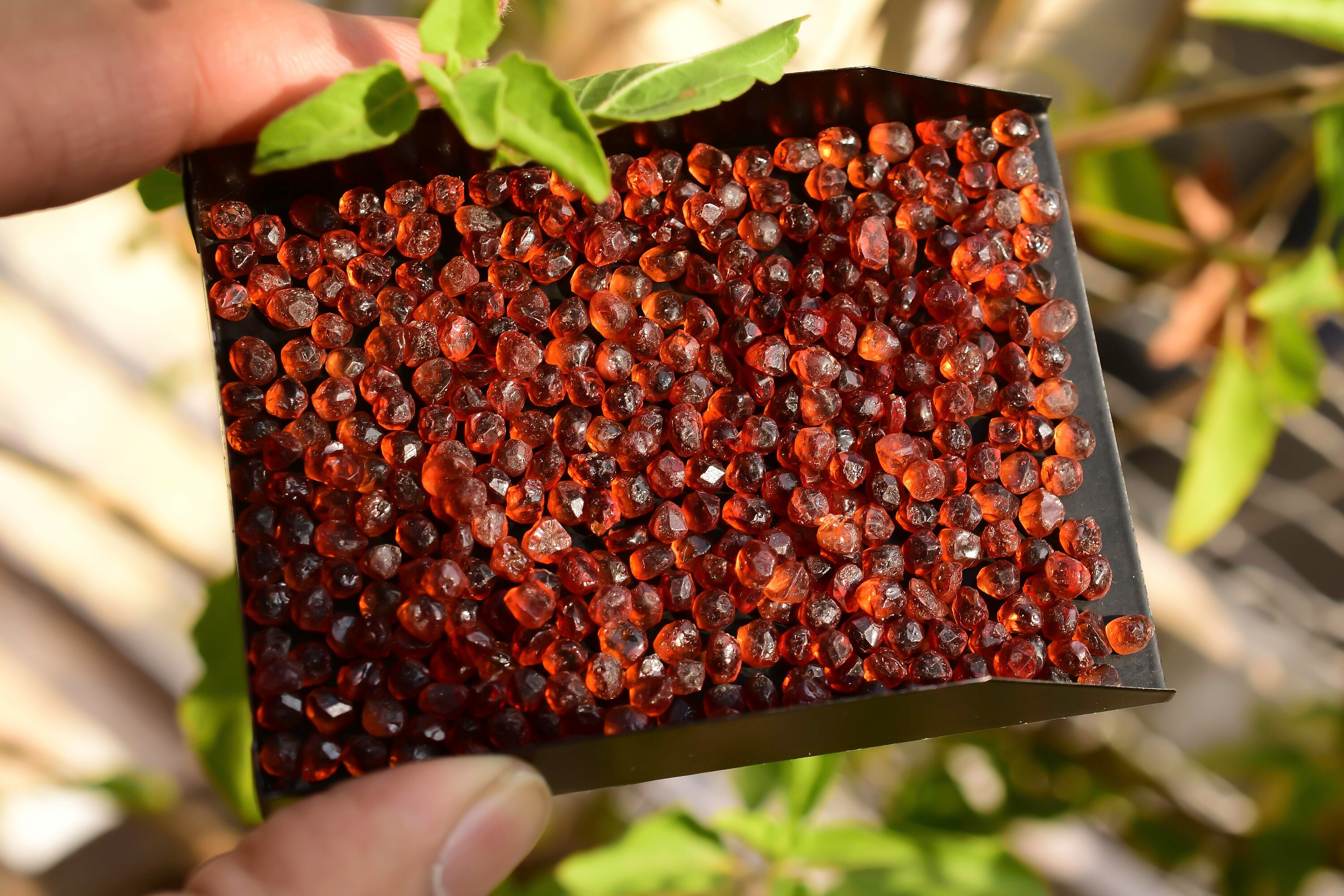 Rare Spessartite Garnet Raw 3-4 MM Natural Gemstones Rough From ...