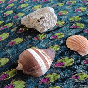 Sea Coral Sea Shell Bundle - Etsy