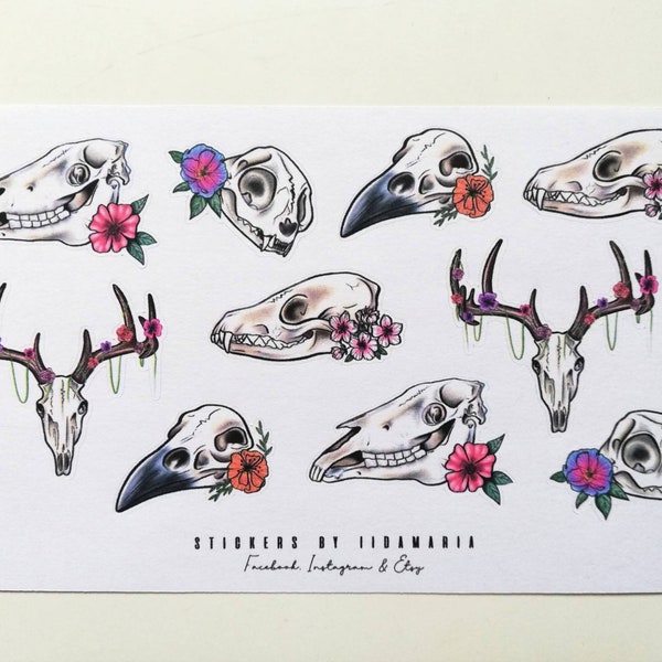 Deer Skull Sticker - Etsy