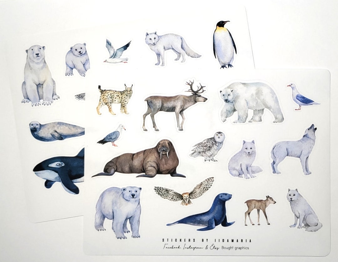 Arctic Animals, Deer Whale Polarbear Penguin Owl Seagull Wolf Lynx Seal ...