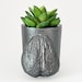 Ball Planter Nude Penis Pot Testicle Planter Succulent Eco Friendly Cup ...