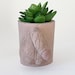 Ball Planter Nude Penis Pot Testicle Planter Succulent Eco Friendly Cup ...