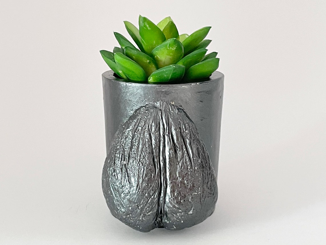 Ball Planter Nude Penis Pot Testicle Planter Succulent Eco Friendly Cup ...