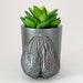 Ball Planter Nude Penis Pot Testicle Planter Succulent Eco - Etsy