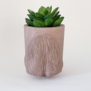 Ball Planter Nude Penis Pot Testicle Planter Succulent Eco Friendly - Etsy