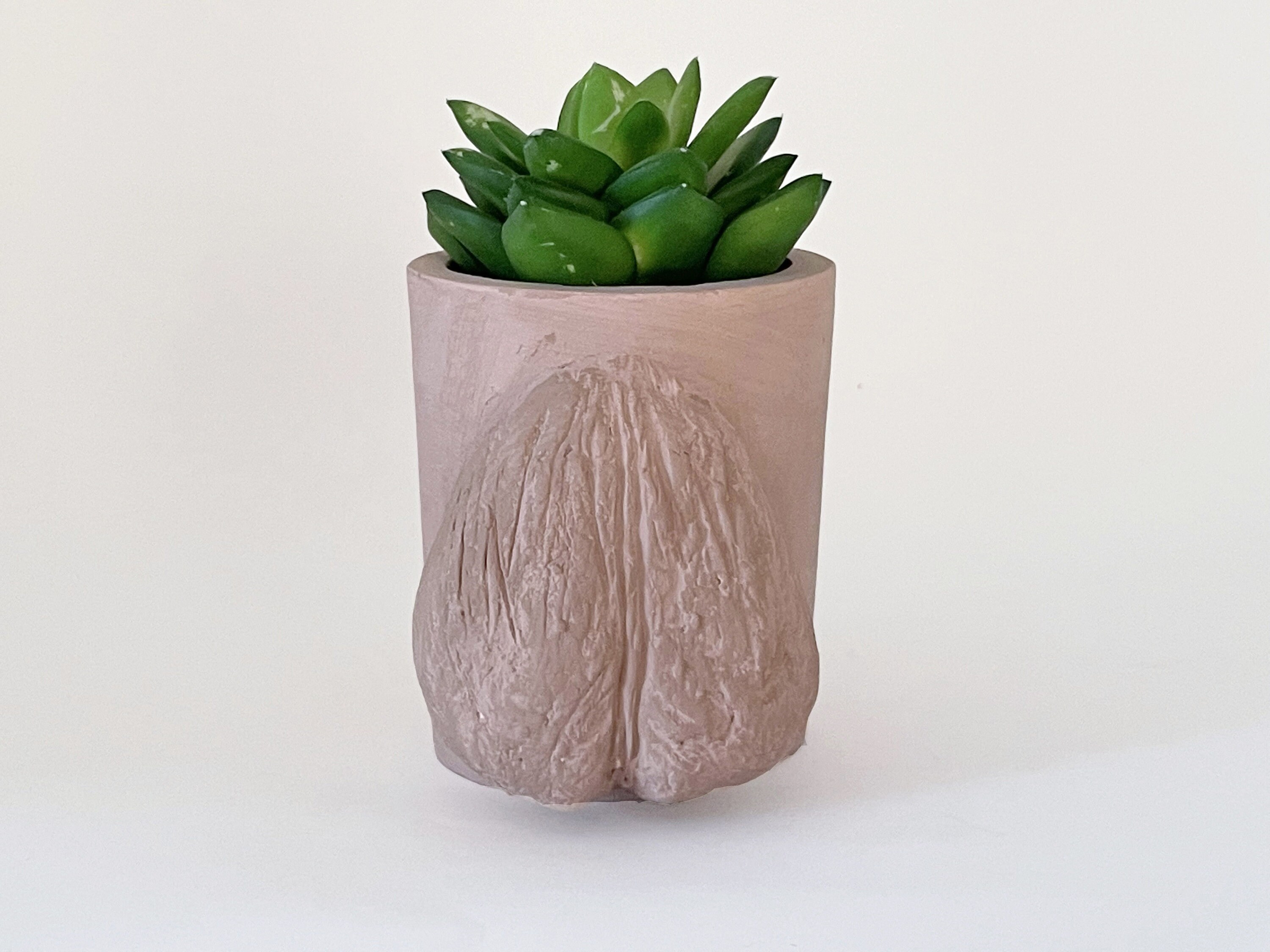 Ball Planter Nude Penis Pot Testicle Planter Succulent Eco Friendly - Etsy