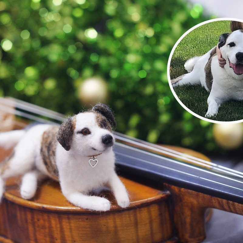 Unique Pet Gift - 60+ Gift Ideas for 2024