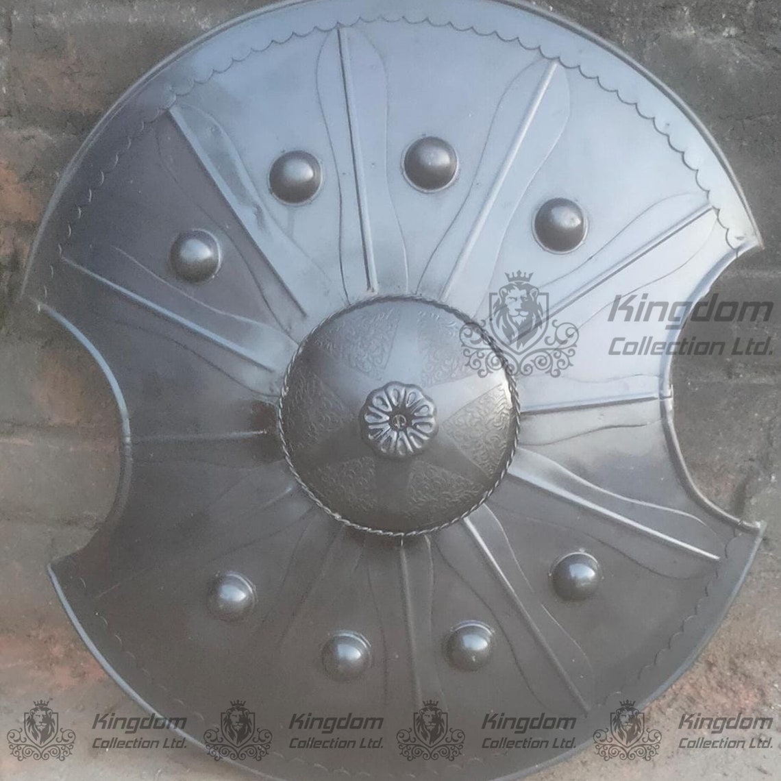 Loin Face Round Metal Shield Medieval Knight Shield for Role - Etsy UK