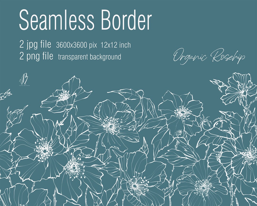Seamless Floral Border Organic Rosehip Artistic Line on - Etsy