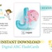 Set of Printable Alphabet Flashcards / ABC Cards / Instant - Etsy