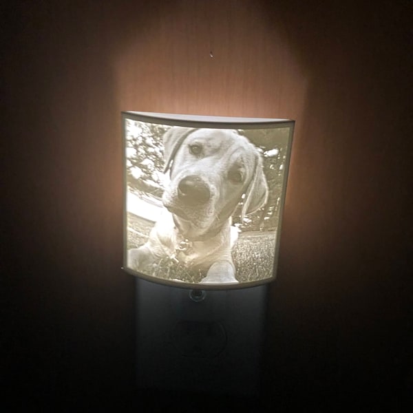 Lithophane Night Light - Etsy
