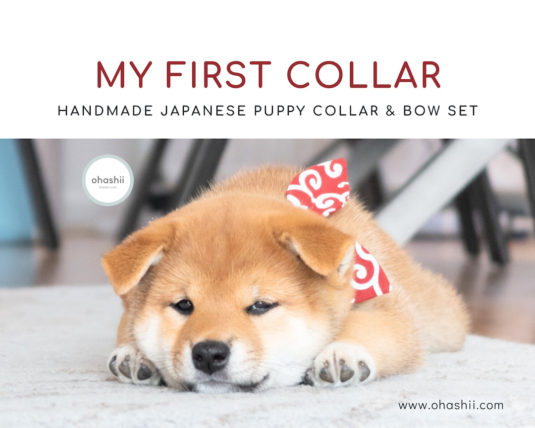 Japanese Puppy Collar & Bow Set | Premium Japanese Dog Collar + Bunny ...