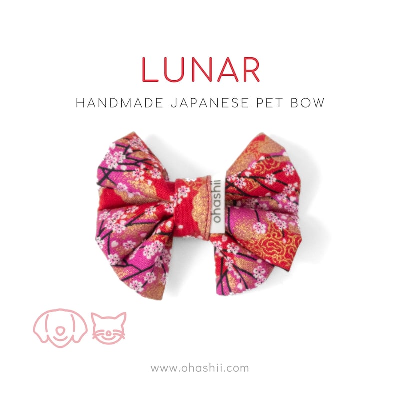 New Pet Snake Supplies - Etsy UK