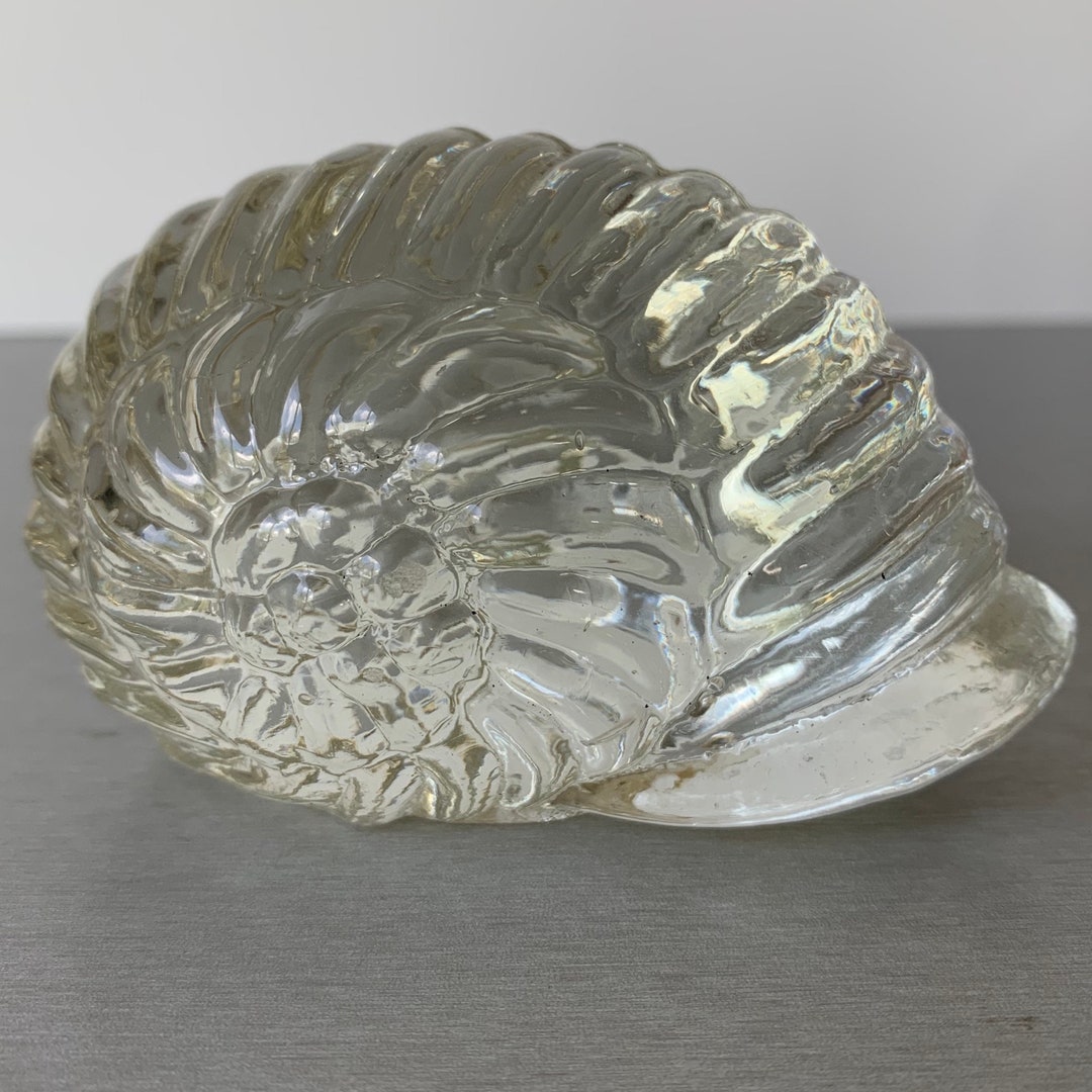 MURANO ART GLASS Shell Paperweight, Murano Sculpture Solid Clear Glass ...