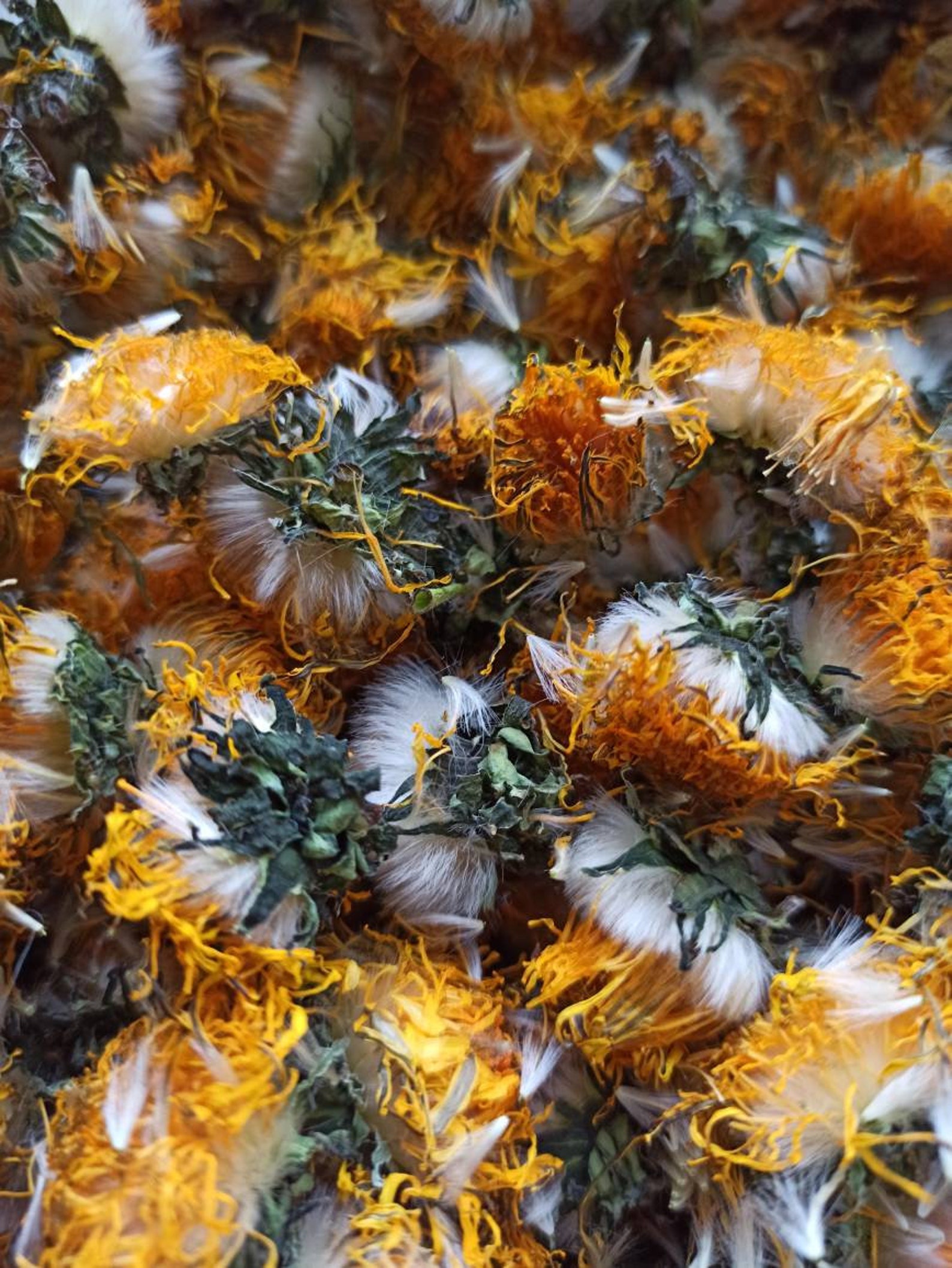 Dried Dandelion FlowerDandelion roots Dandelion tea Organic | Etsy